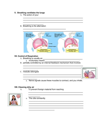 Respirotory notes | DOC