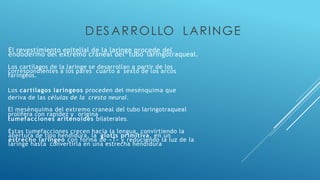 RESPITATORIO EMBRIOLOGIA. LARINGE, FARINGE, ESOFGO, TRAQUEA, BRONQUIS ...