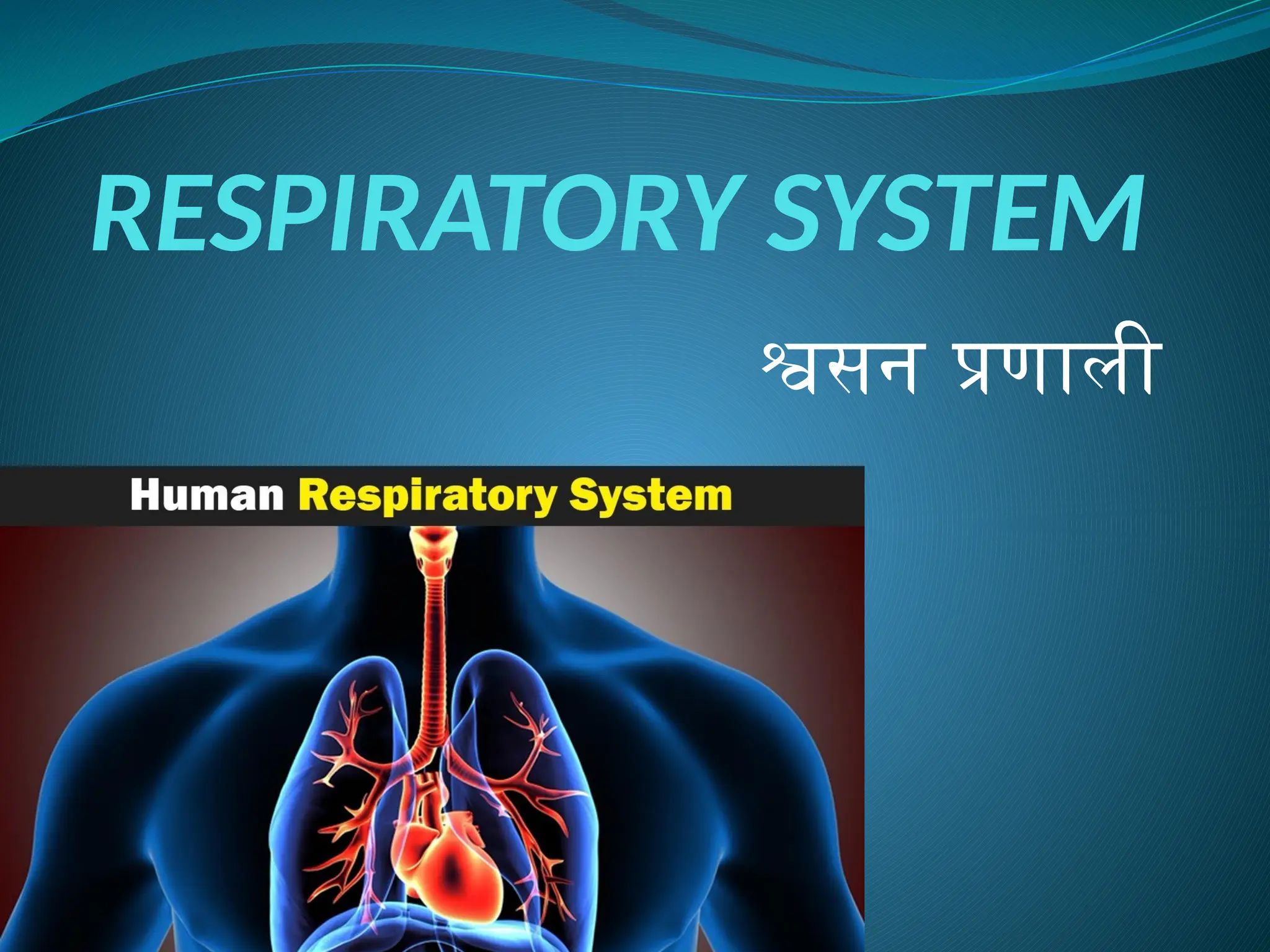 respitorysystem1ppt-240131151213-b5ea2db8.pptx