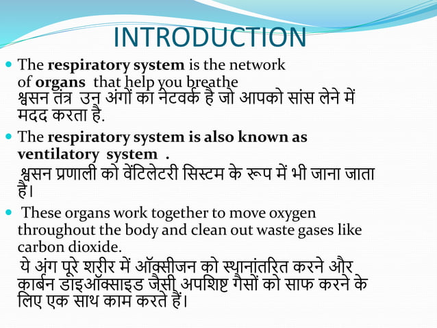 Respiratory System 1 ppts. Human Respiration | PPT