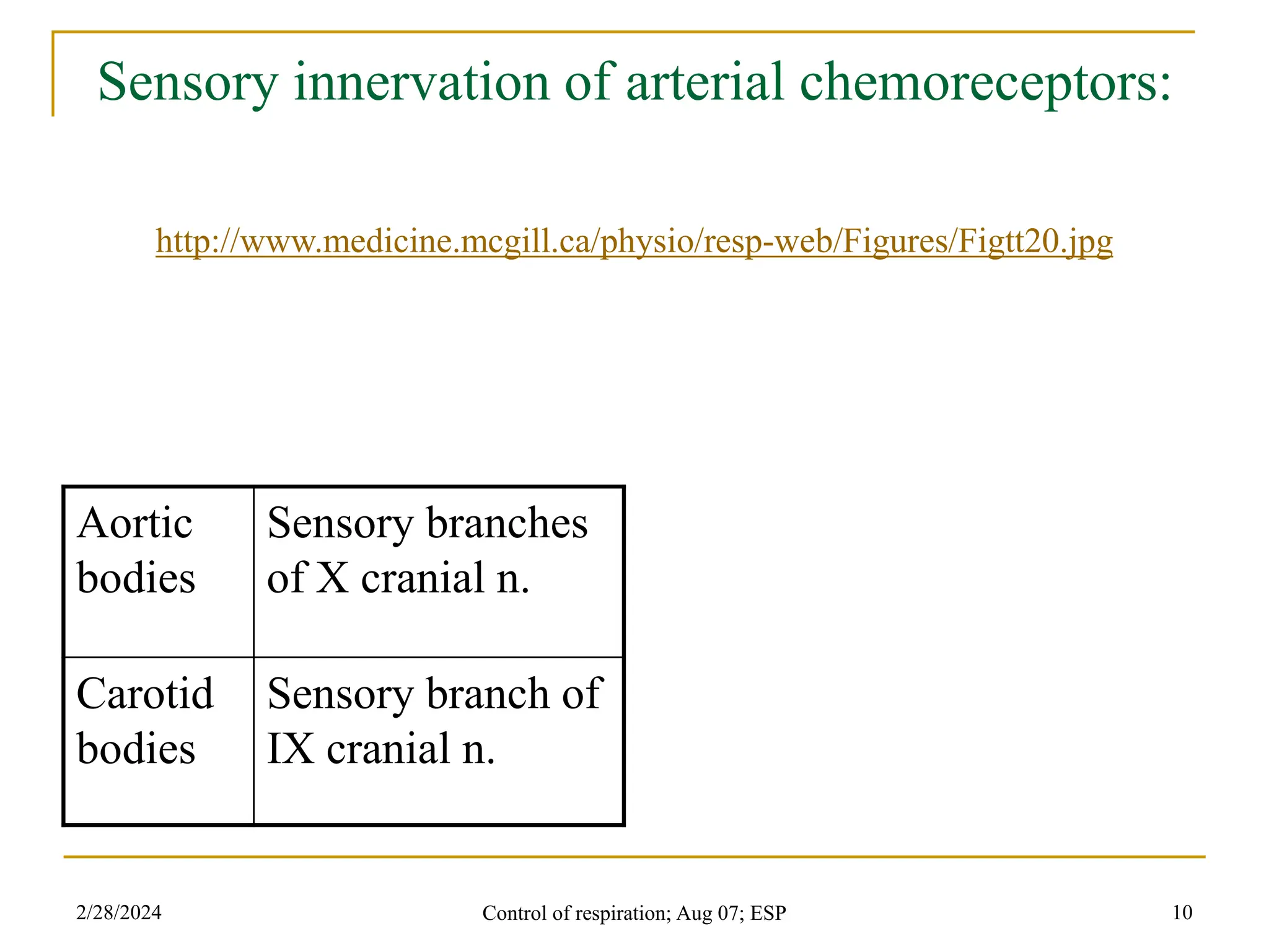 RESP MECHANISM- REGULATION OF RESPIRATION | PPT