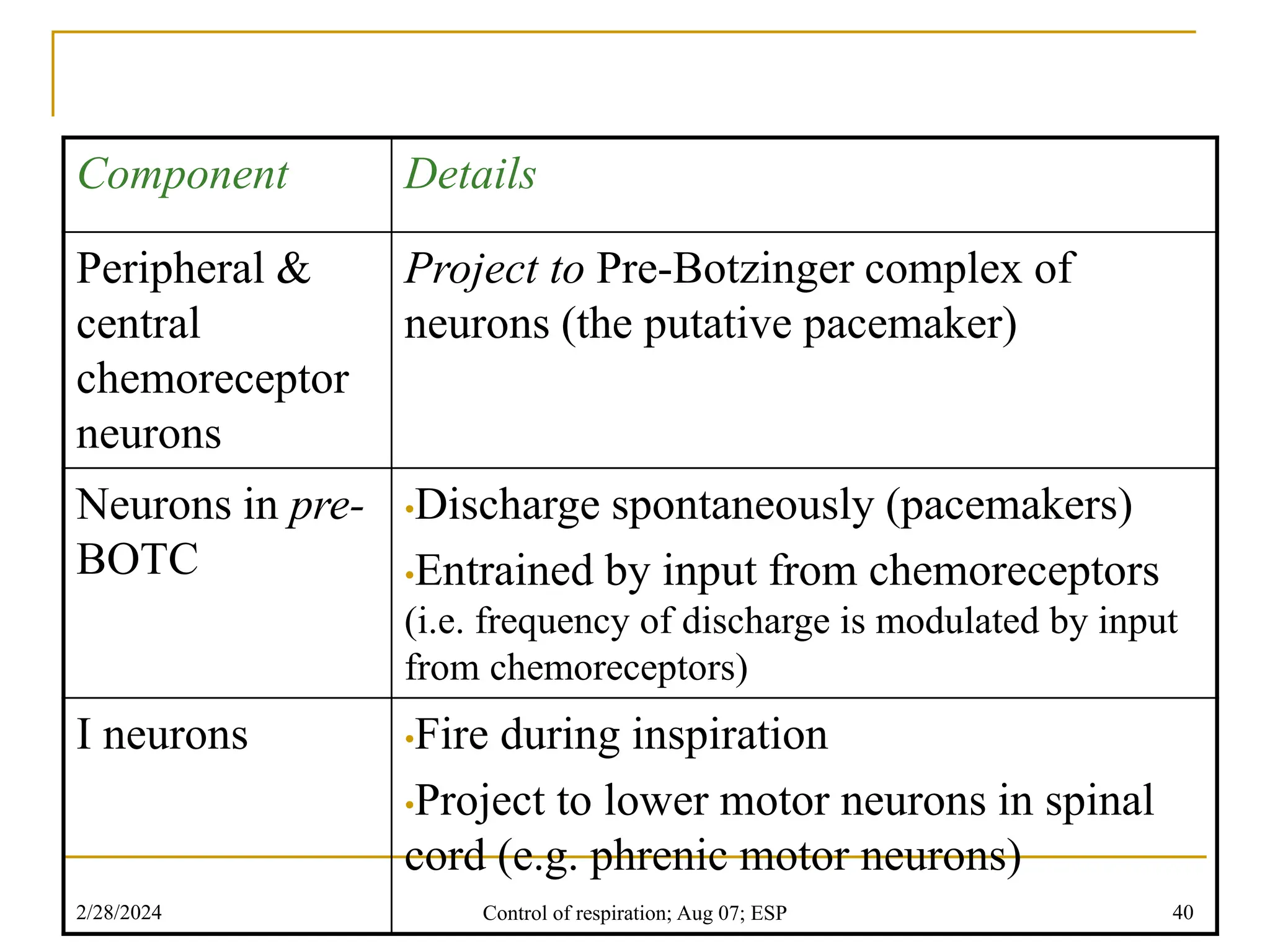 RESP MECHANISM- REGULATION OF RESPIRATION | PPT