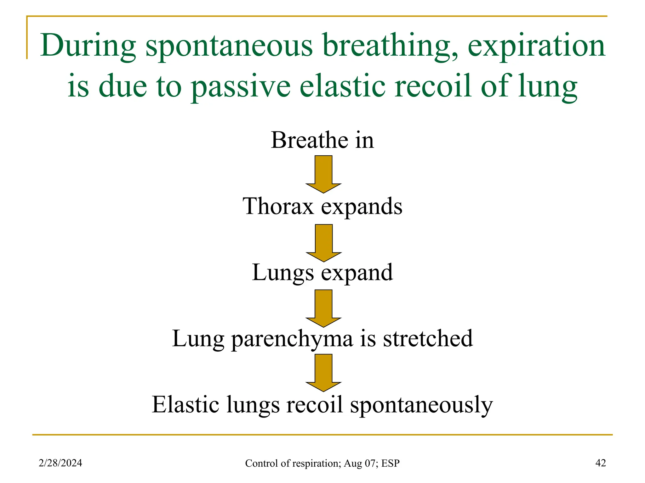 RESP MECHANISM- REGULATION OF RESPIRATION | PPT