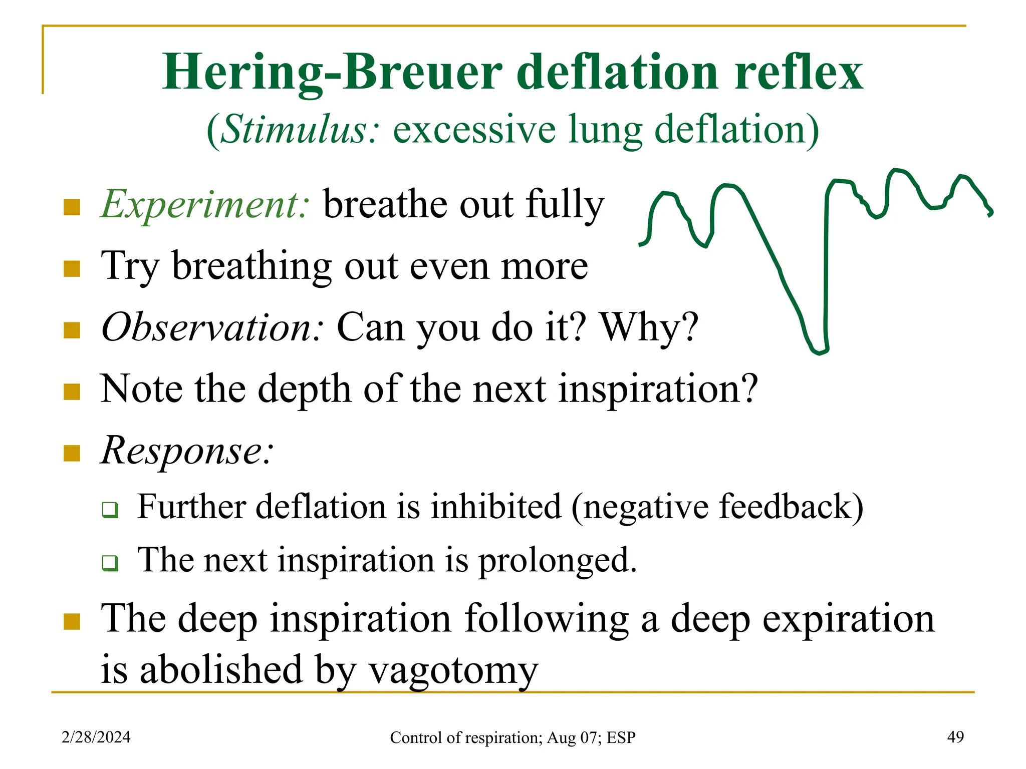 RESP MECHANISM- REGULATION OF RESPIRATION | PPT