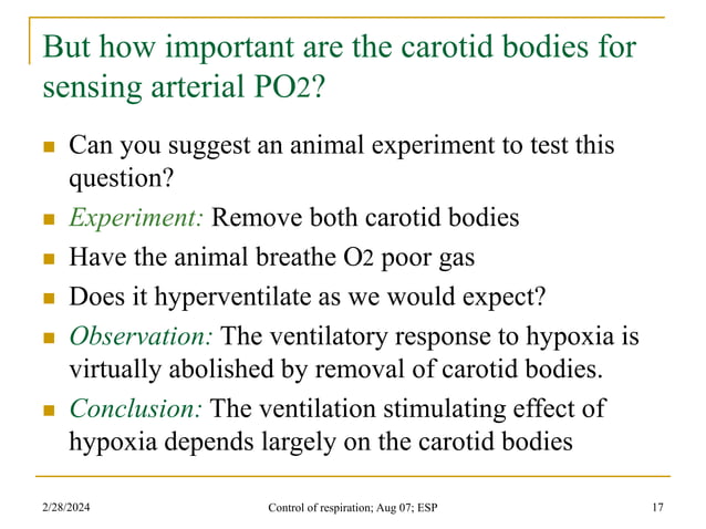 RESP MECHANISM- REGULATION OF RESPIRATION | PPT | Lung and Respiratory ...