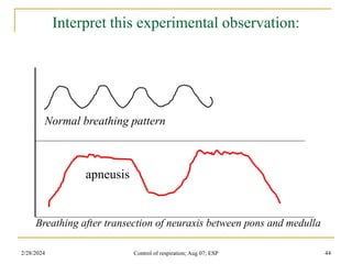 RESP MECHANISM- REGULATION OF RESPIRATION | PPT