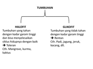 Respon fisiologi thdp cekaman (9) | PDF