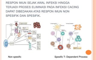 Respon imun terhadap parasit | PPTX