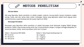 RESPON PERTUMBUHAN DAN PRODUKSI TANAMAN KACANG PANJANG (.pptx