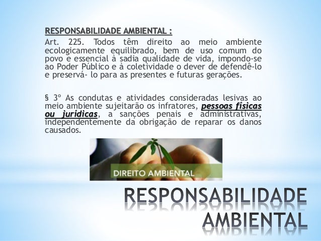 Responsabilidade Ambiental Geral