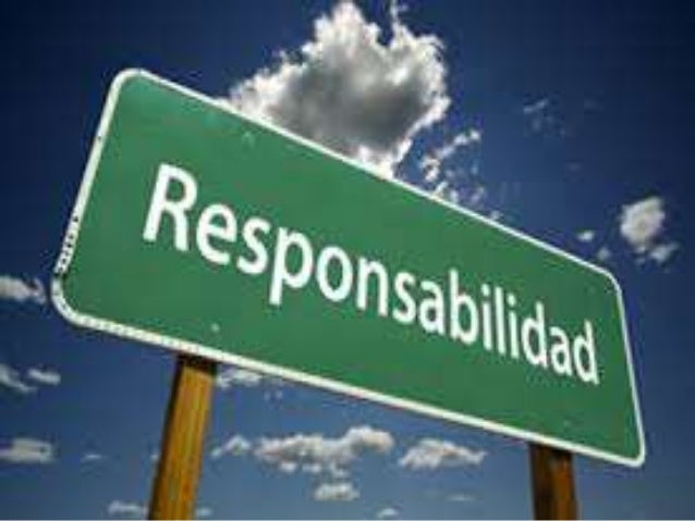 Responsabilidad profesional