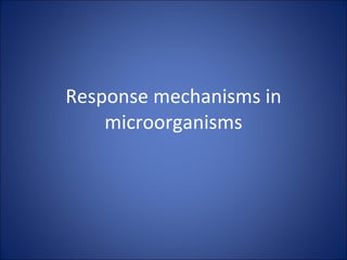 Response and tolerance strategies of microorganisms to oxidative | PPT