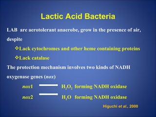 Response and tolerance strategies of microorganisms to oxidative | PPT