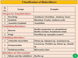 Response of maize to biofertilizers | PPTX
