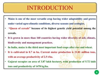 Response of maize to biofertilizers | PPTX
