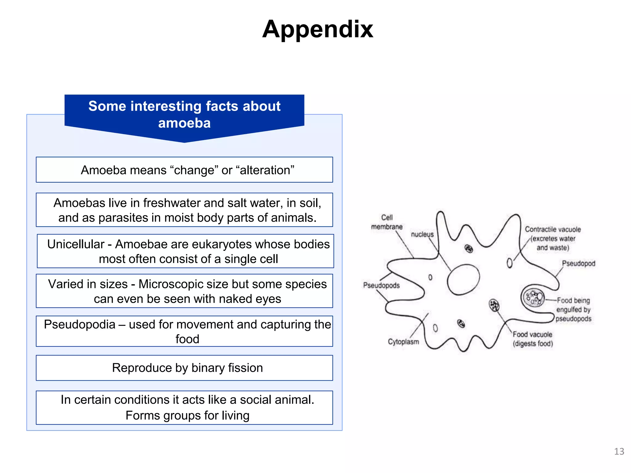 Responses in vuca | PPTX