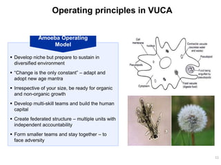 Responses in vuca | PPTX