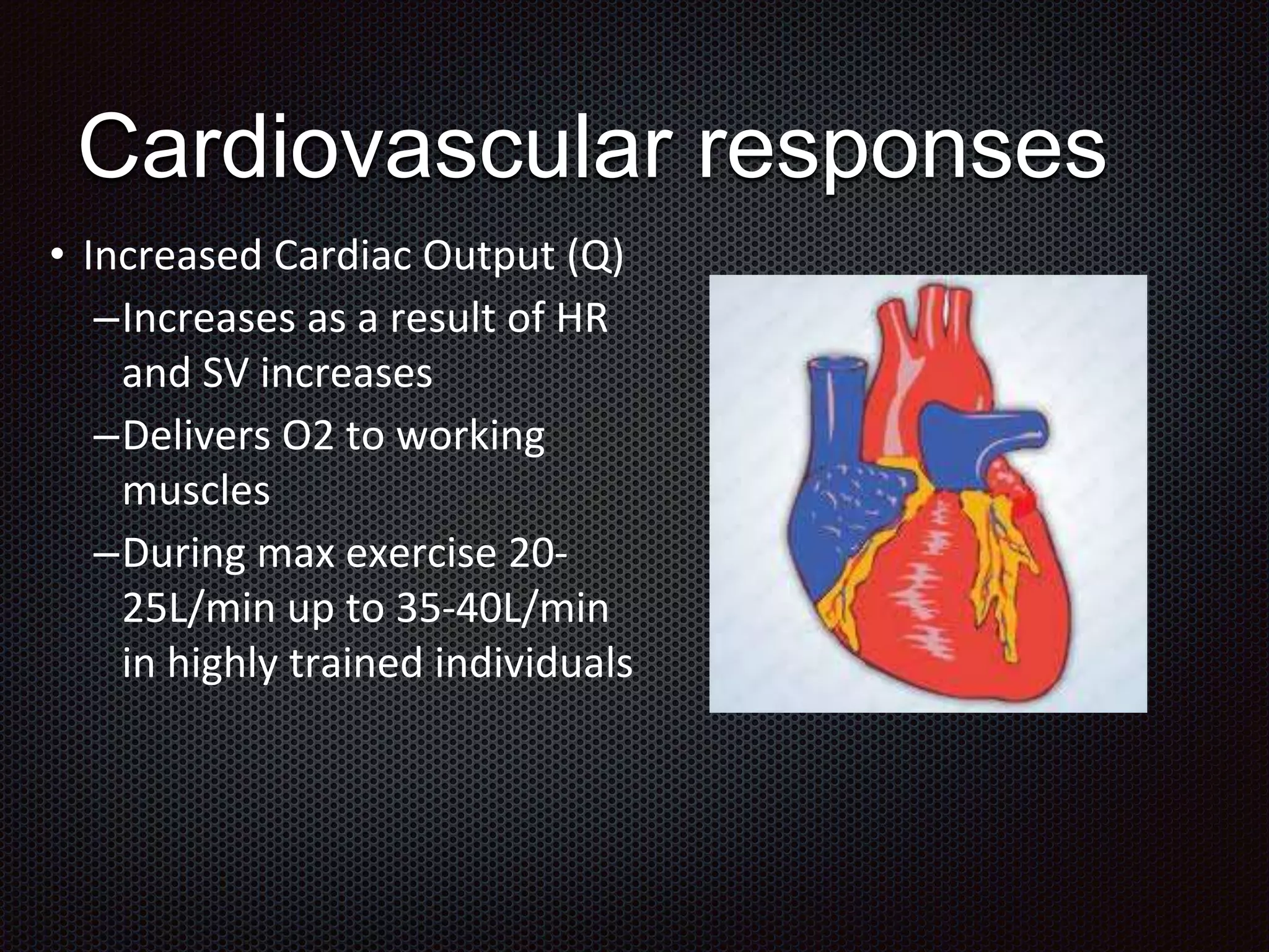 Responses to exercise | PPTX