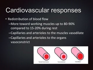 Responses to exercise | PPTX
