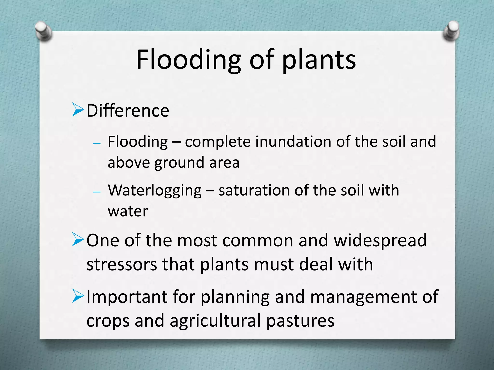 How do plants deal with flooding? | PPTX