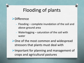 How do plants deal with flooding? | PPTX