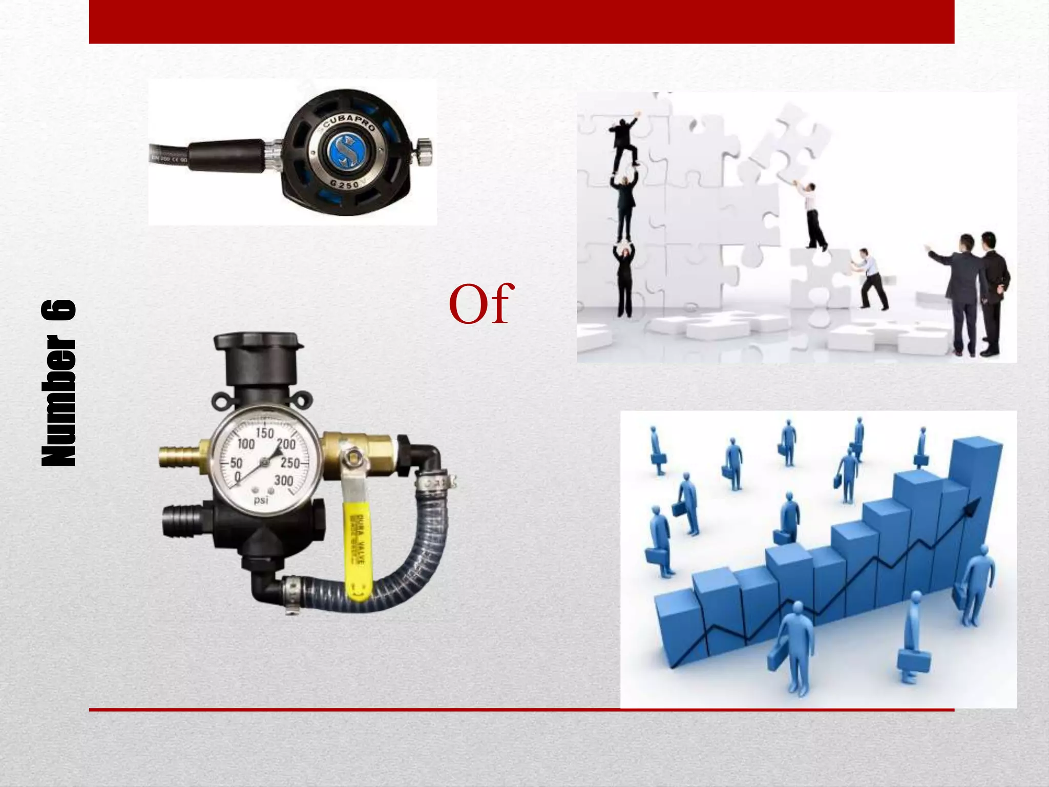 Responsibilities of government | PPTX