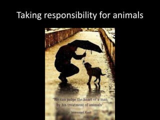 Responsibility | PPTX
