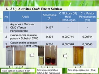 Responsi Bioreaksi | PPT