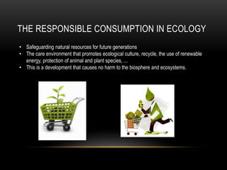 Responsible consumption | PPTX