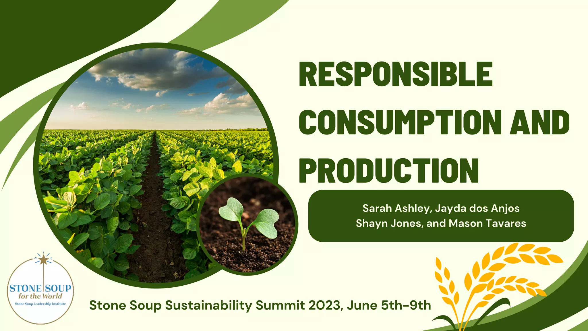 Responsible Consumption & Production: UNSDG #12 | PDF