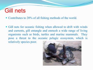 Responsible fishing_Jagannath Rathod_2013 | PPTX