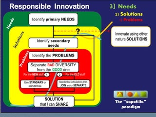 Responsible innovation | PDF