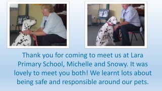 Responsible pet ownership | PPTX