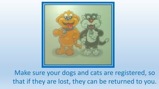 Responsible pet ownership | PPTX