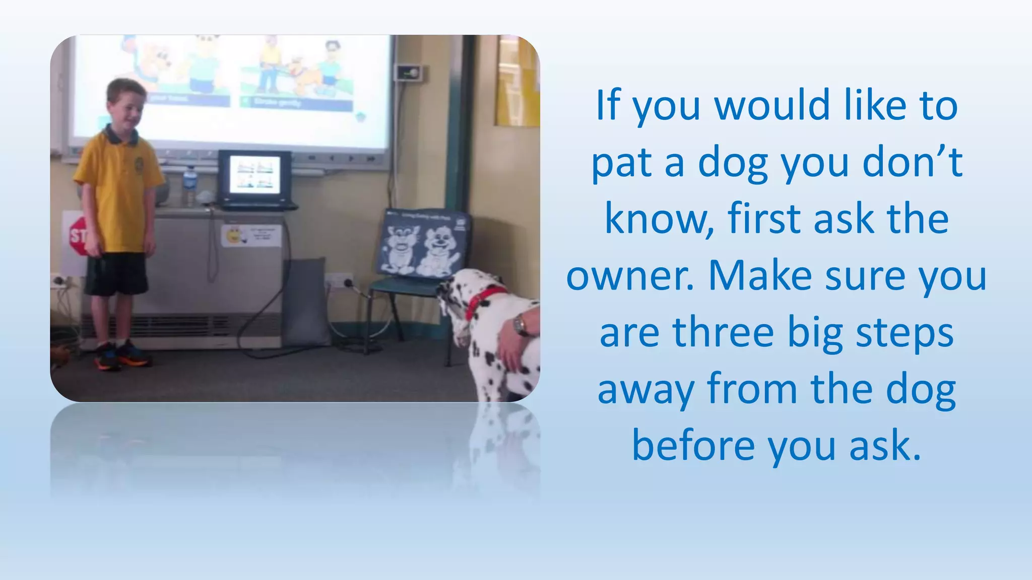 Responsible pet ownership | PPTX