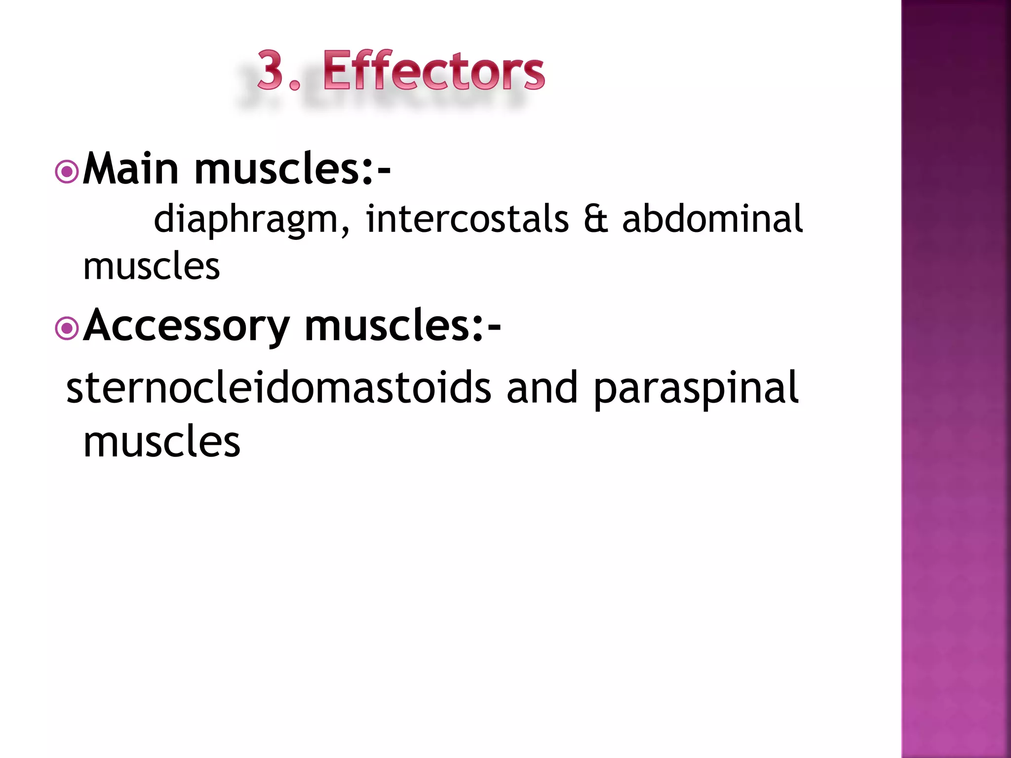 Resp physiology & respiratory failure in children | PPTX