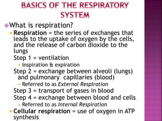 Resp physiology & respiratory failure in children | PPTX