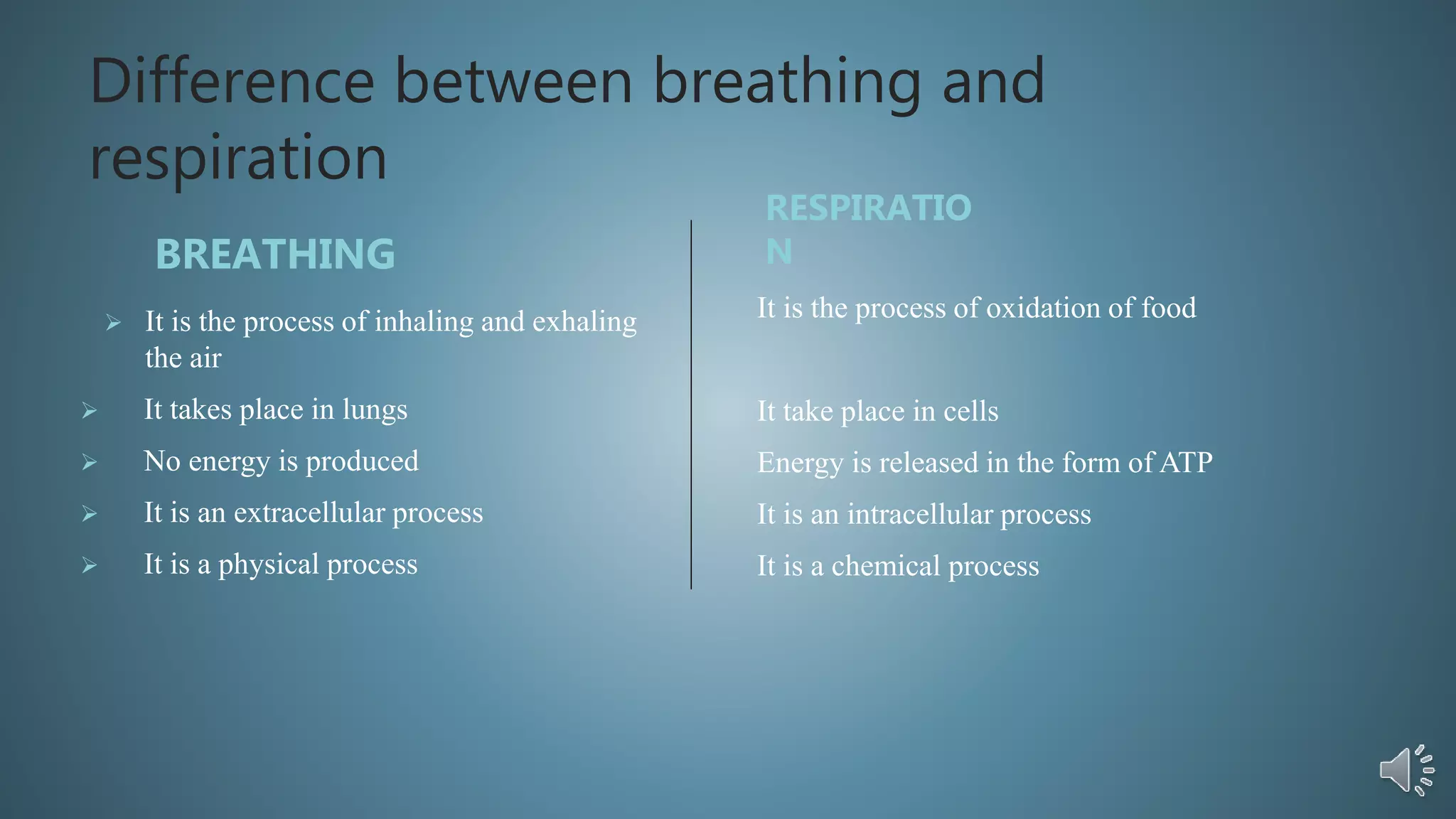 Respiration in human being | PPTX