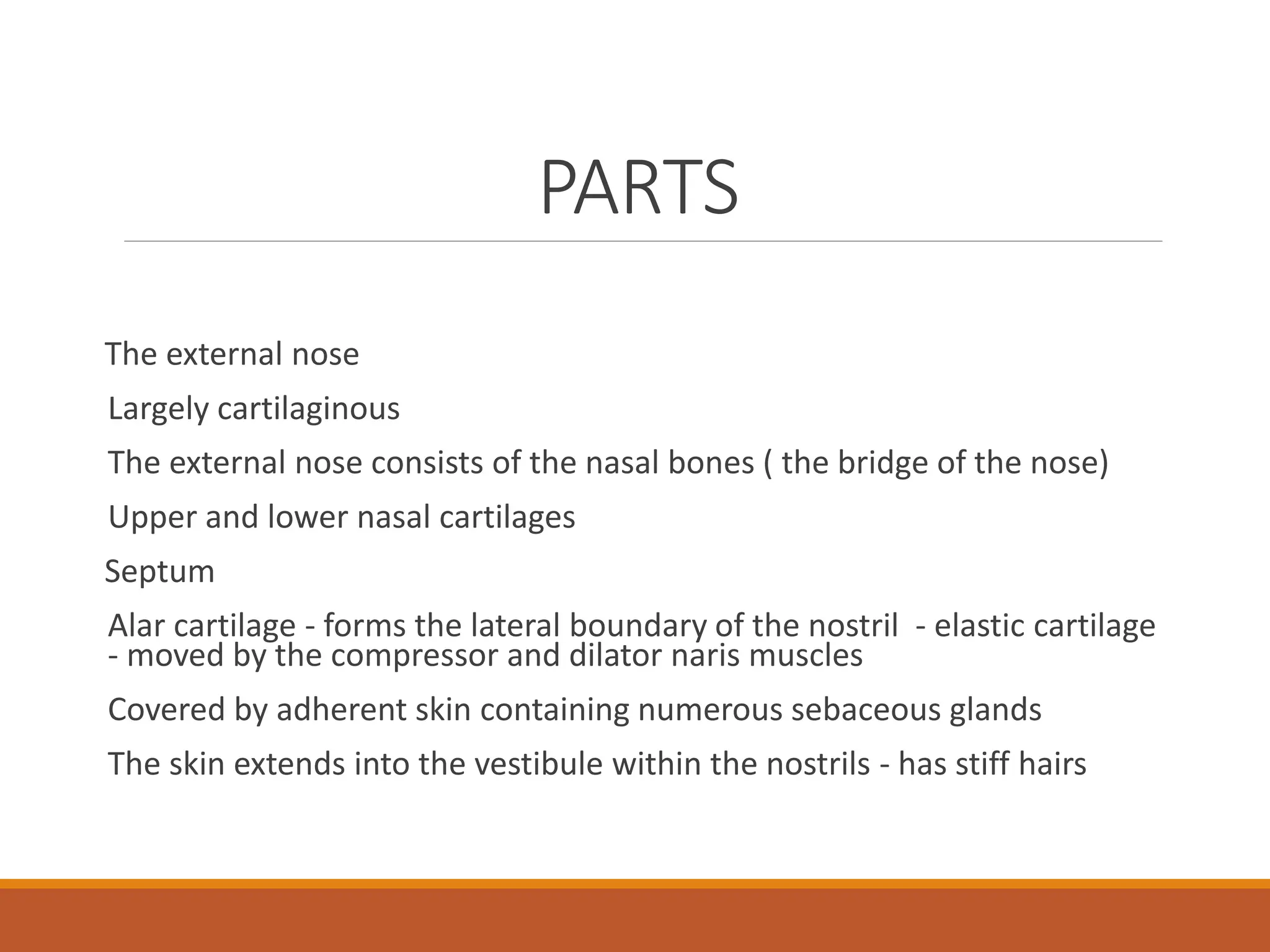 resp sys.pptx anatomy and physiology---- | PPTX