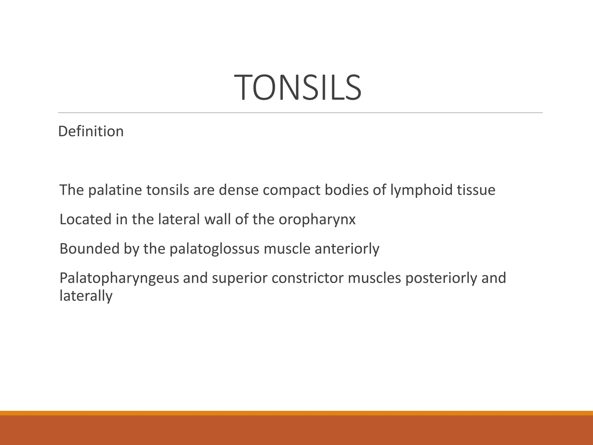 resp sys.pptx anatomy and physiology---- | PPTX