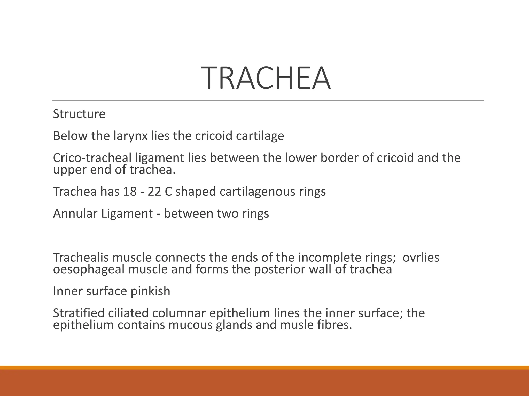 resp sys.pptx anatomy and physiology---- | PPTX