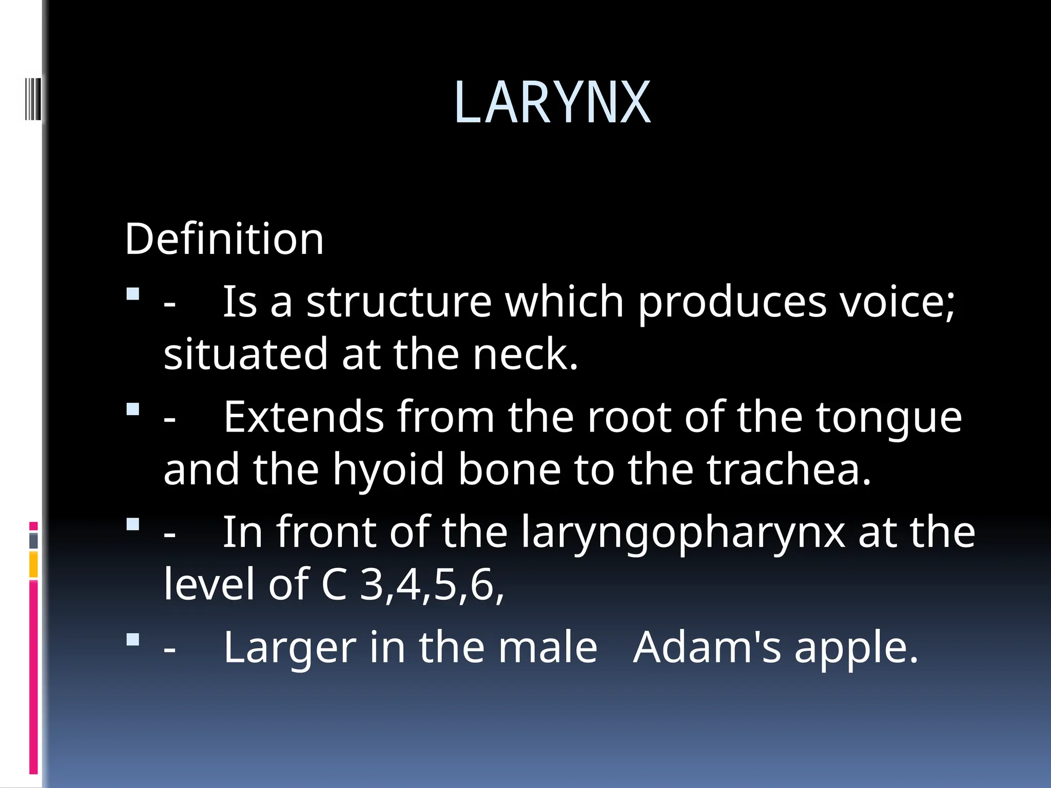 resp_sys.pptx pppt on respiratory system | PPTX