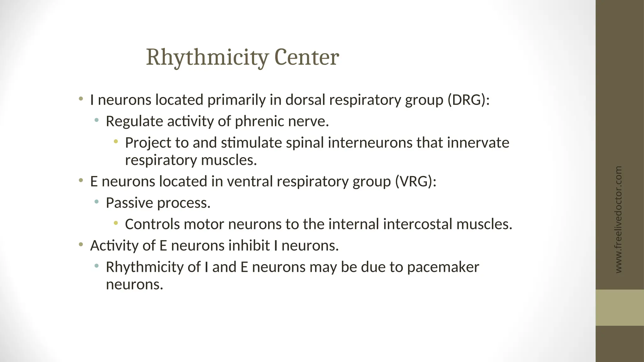 Respirtory system physiology and the functions | PPT