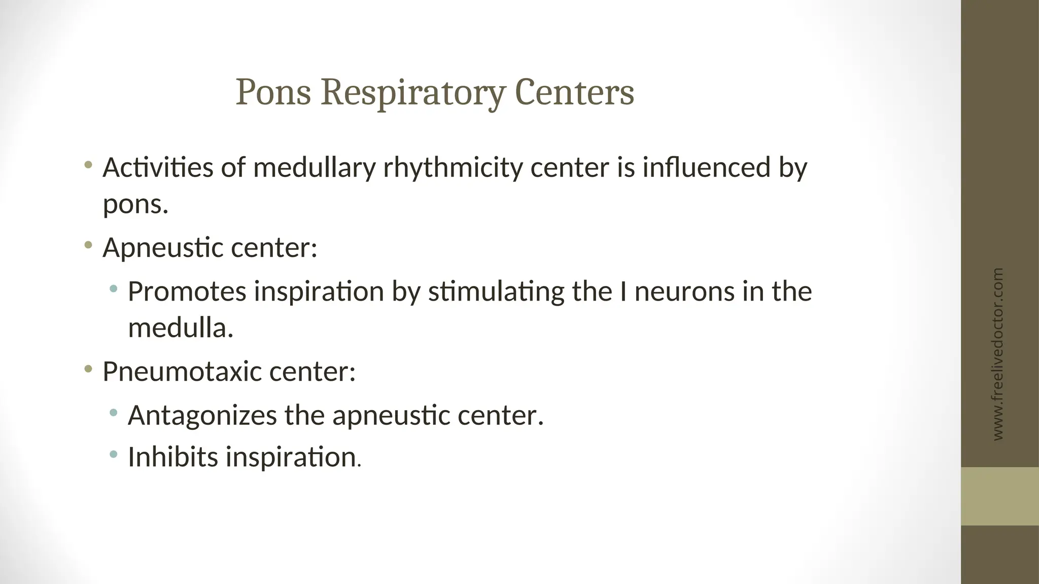 Respirtory system physiology and the functions | PPT
