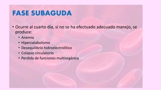 Respuesta fisiologica a la lesion por quemadura | PPT