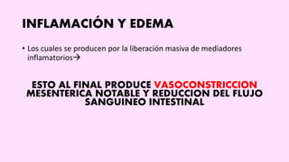 Respuesta fisiologica a la lesion por quemadura | PPT