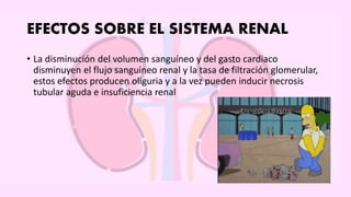 Respuesta fisiologica a la lesion por quemadura | PPT