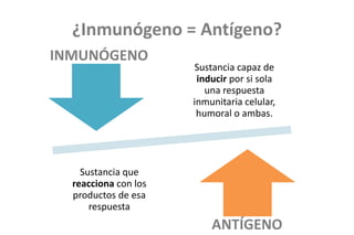 Respuesta inmunitaria adaptativa humoral | PPTX