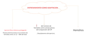 Respuestas & adaptaciones hematológicas en el ejercicio | PPTX