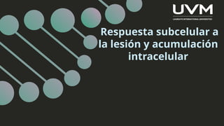 Respuesta subcelular a la lesion y acumulos intracelulares .pptx